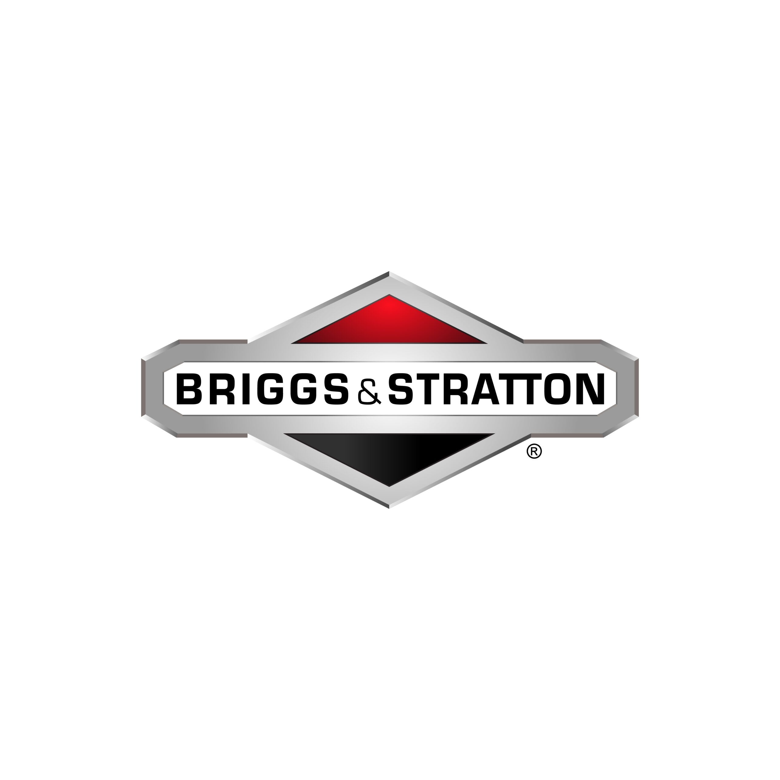 Briggs Lo206 OEM Parts – Stewart Racing Engines